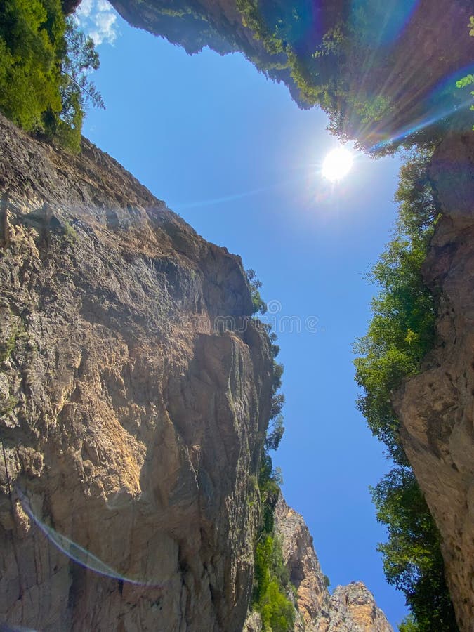 Narrow mountain gorge stock photo. Image of adventure - 229560666