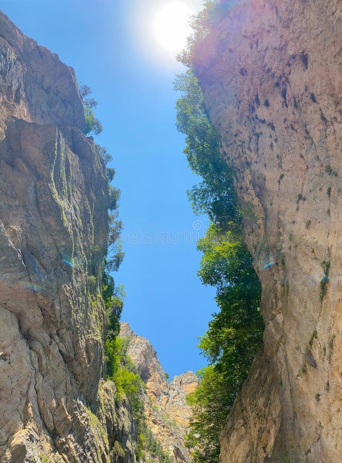 Narrow mountain gorge stock image. Image of ravine, narrow - 229560701