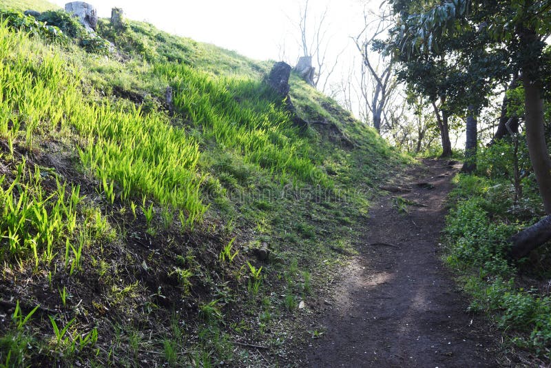 The narrow mountain path stock image. Image of japan - 178629935