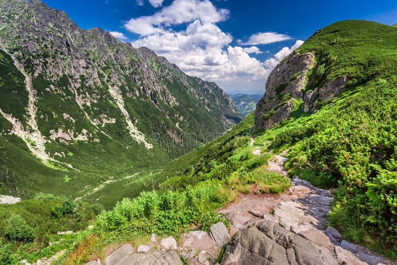 Narrow Mountains Trail Leading the Peak Stock Photo - Image of ...