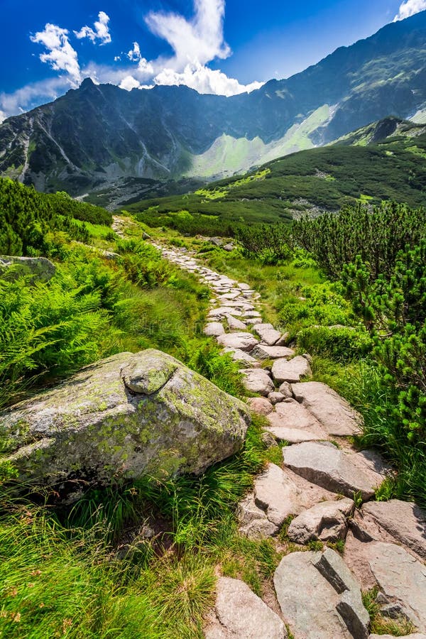 Narrow Mountains Trail Leading the Top Stock Photo - Image of rock ...