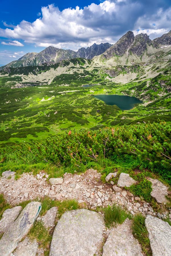 Narrow Mountains Trail in Tatras Stock Image - Image of zakopane ...