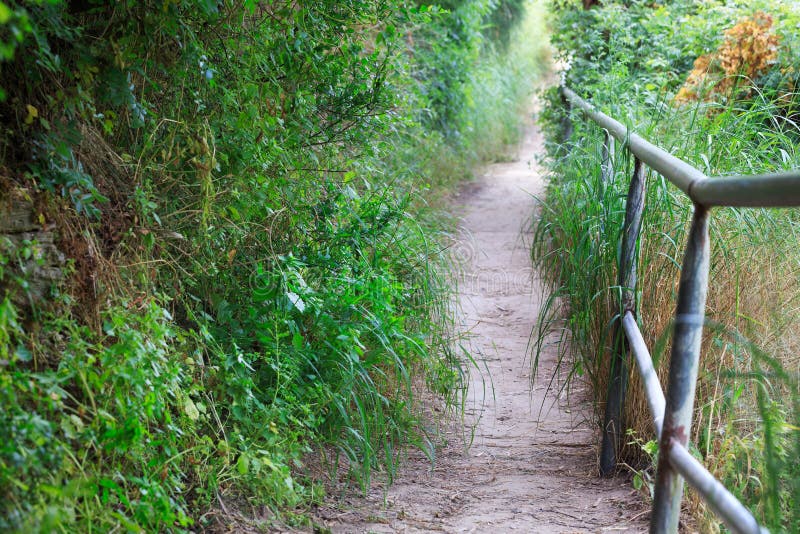 Narrow Nature Path with Railing. Stock Image - Image of natural ...