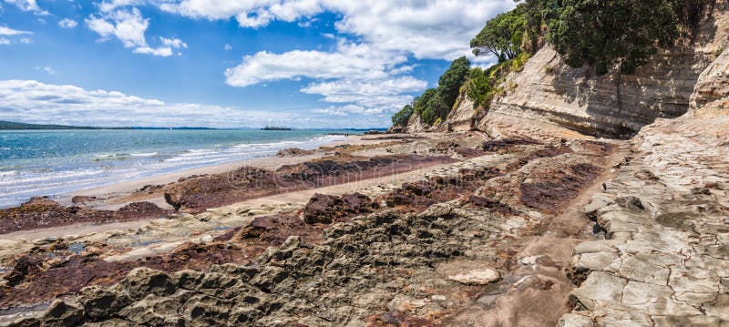 Narrow Neck Beach stock photo. Image of zealand, island - 39412426
