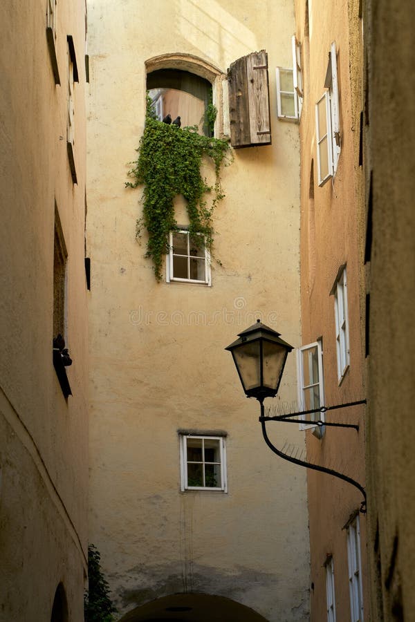 Narrow Old European Passageway Stock Image - Image of bush, street ...