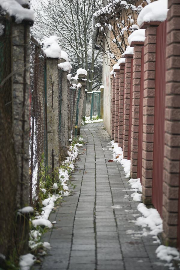 A Narrow Passage between Two Fences. Thin Path Stock Image - Image of ...