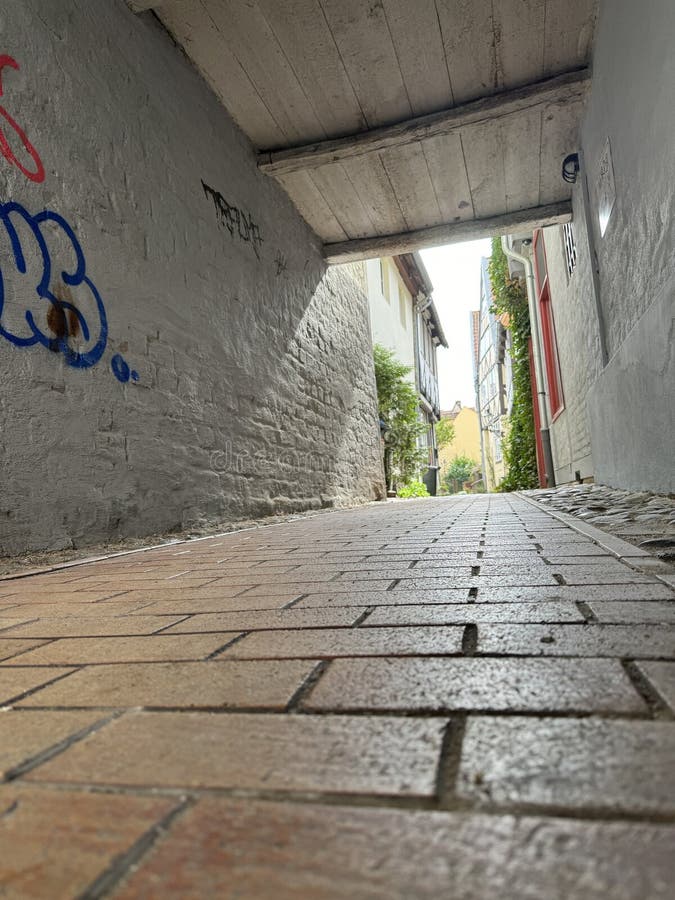 Narrow Passageway with Graffiti and Greenery Stock Image - Image of ...
