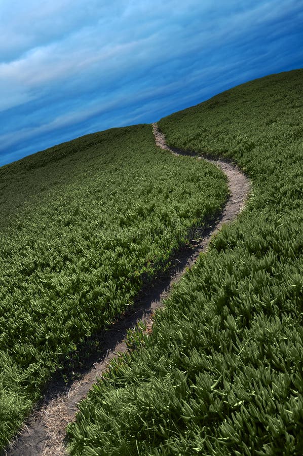 Narrow Path stock image. Image of thunderstorm, clouds - 16932101