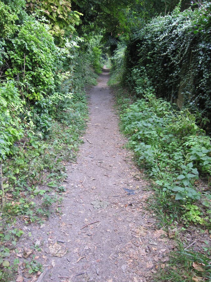 A Narrow Path stock image. Image of path, track, woods - 90478229