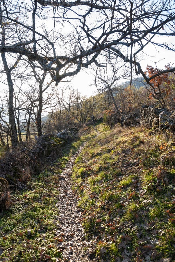 Narrow Path Covered with Fallen Leaves Next To Stone Wall in Autumn ...