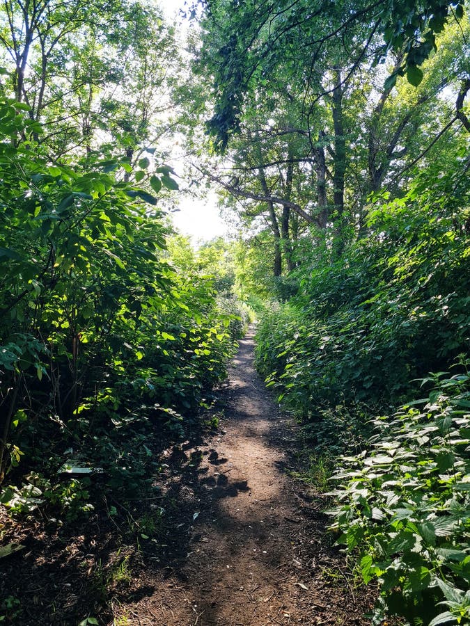 Narrow Path in Venice, Italy Stock Photo - Image of illumination, canal ...