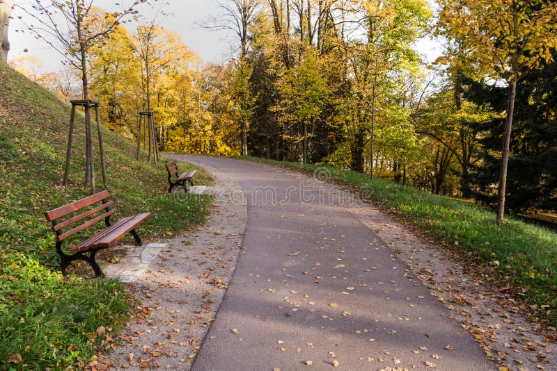 Narrow Path Lit by Soft Spring Sunlight. Forest Spring Nature Stock ...