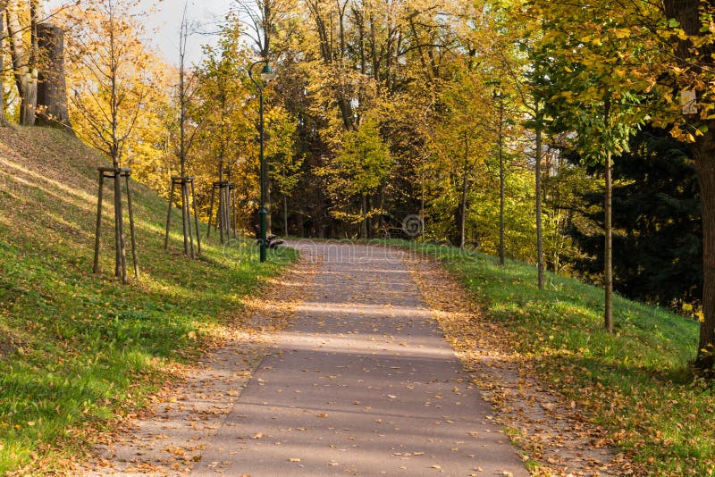 Narrow Path Lit by Soft Spring Sunlight. Forest Spring Nature Stock ...