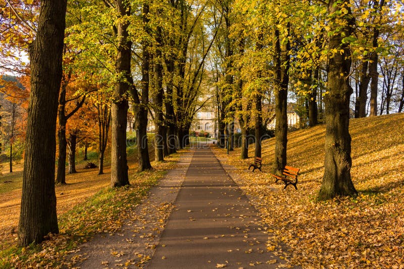 Narrow Path Lit by Soft Spring Sunlight. Forest Spring Nature Stock ...
