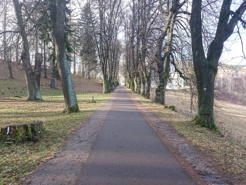 Narrow Path Lit by Soft Spring Sunlight. Forest Spring Nature Stock ...