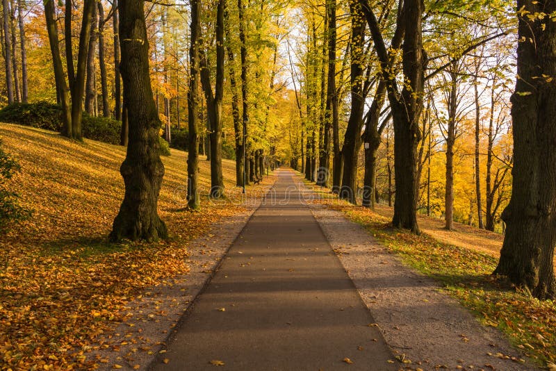 Mountain Log Cabins in Fall Stock Photo - Image of chimney, fall: 14278972