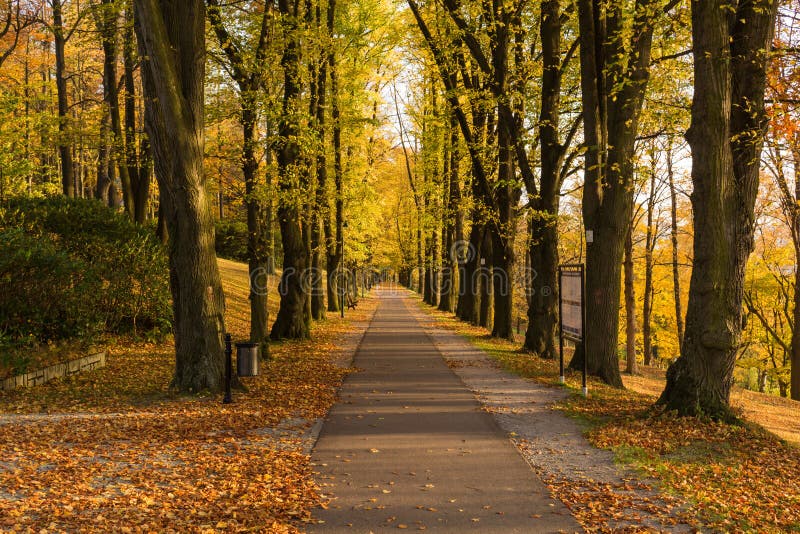 Narrow Path Lit by Soft Spring Sunlight. Forest Spring Nature Stock ...