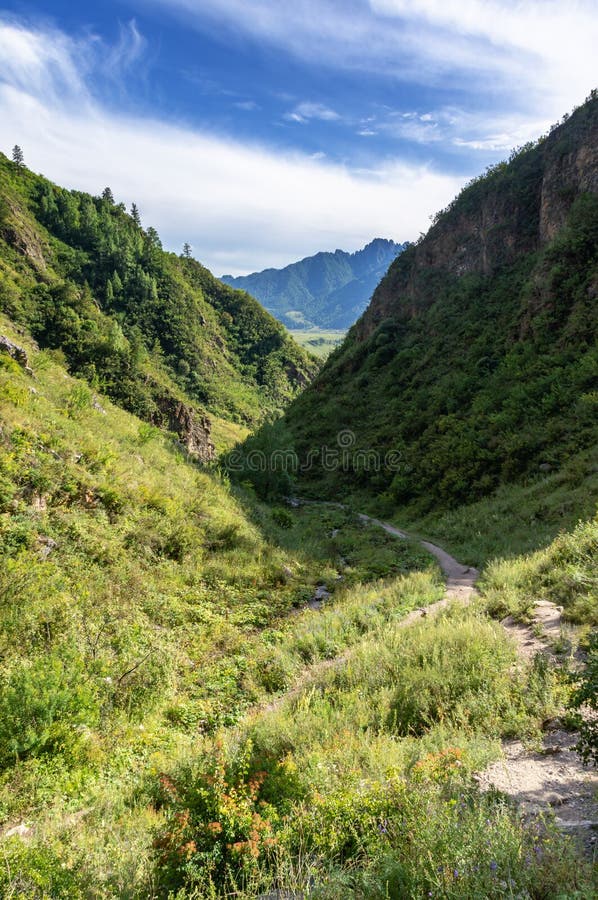 A Narrow Path between the Mountains, Covered with Greenery Stock Image ...