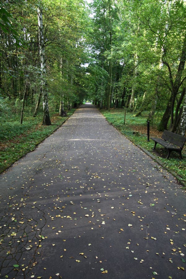 Narrow path in park stock image. Image of autumn, bench - 16309145
