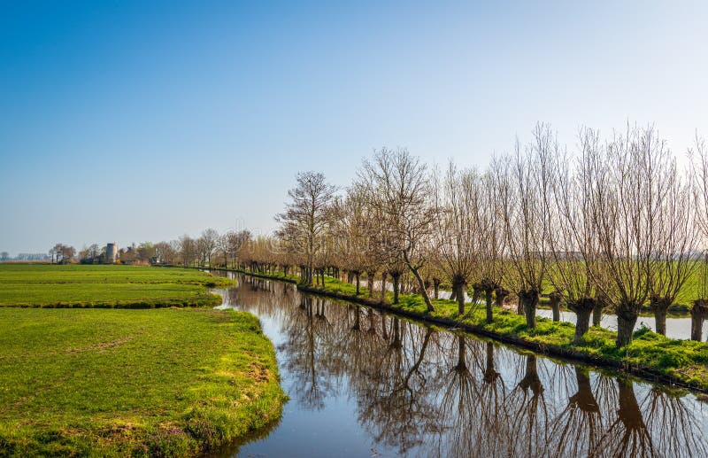 Narrow Path with Pollard Willows and Ditches on Both Sides Stock Image ...
