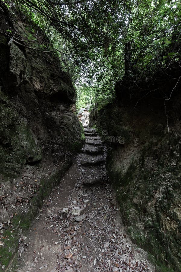 Narrow Path between Rocks and Trees in Pale Umbria, Italy Stock Image ...