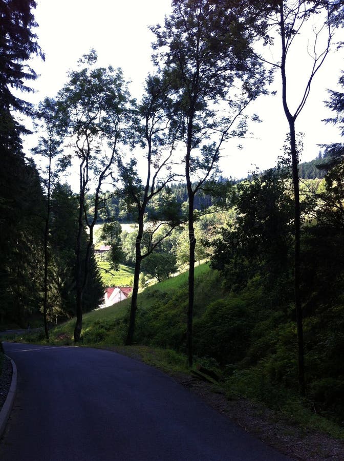 Narrow Path in Scenic Green Hilly Terrain Stock Image - Image of grass ...