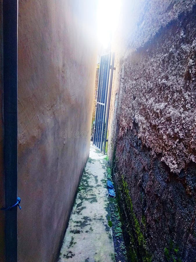 The Narrow Path between Two Walls Stock Image - Image of tree, snow ...