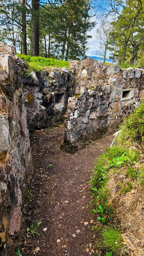 WW1 trenches in Alsace stock photo. Image of building - 390232474