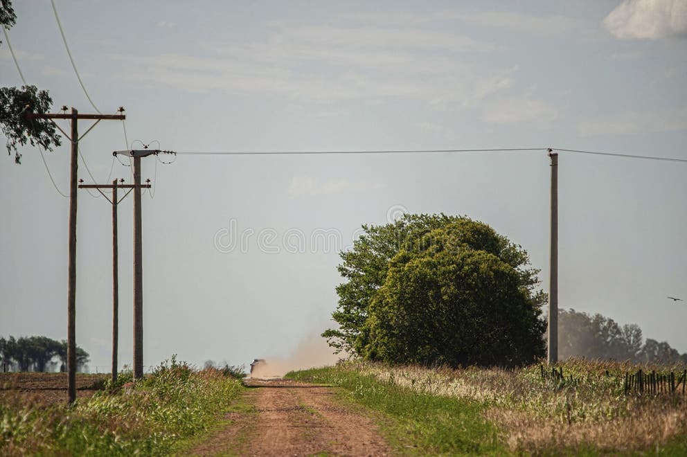 Narrow Pathway in a Grassy Field with a Thick Tree and Utility Poles on ...