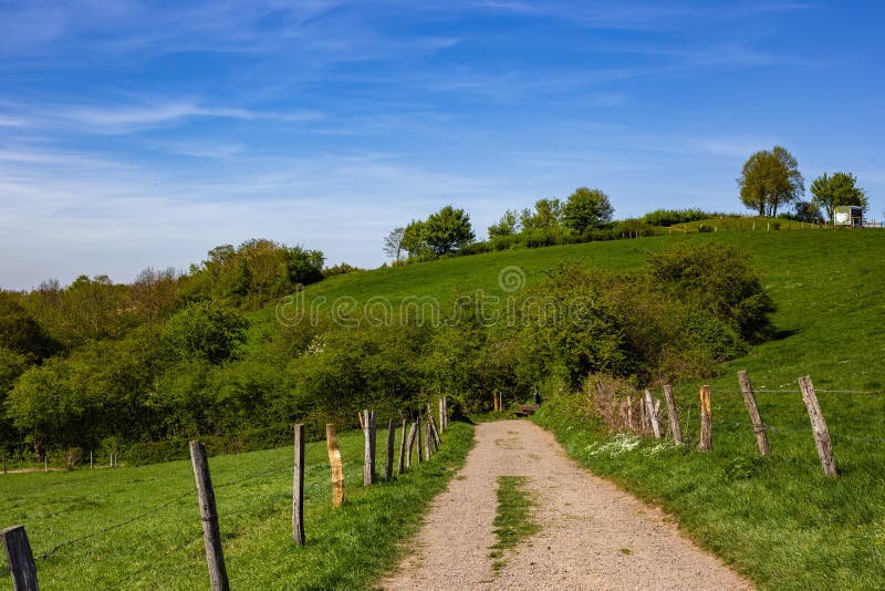 Narrow Pathway in a Green Agricultural Field during Daytime Stock Image ...