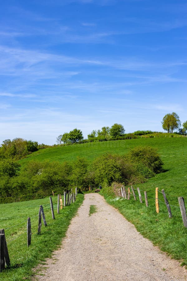Narrow Pathway in a Green Agricultural Field during Daytime Stock Photo ...