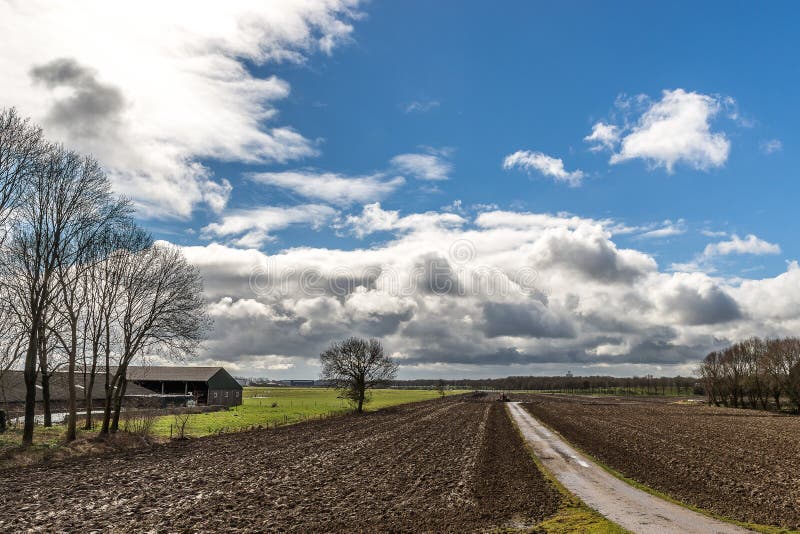 Narrow Pathway in the Middle of the Field Under a Blue Cloudy Sky Stock ...