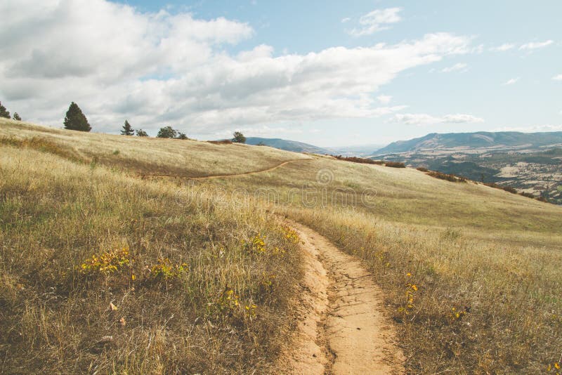 Narrow Pathway in the Middle of a Grassy Field Under the Beautiful Sky ...