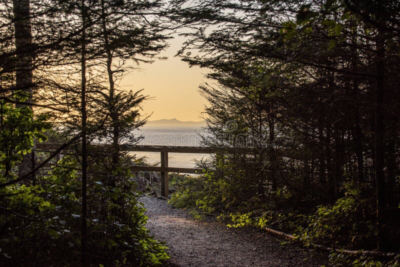 A Narrow Pathway Surrounded by Trees on the Background of the Sea Under ...