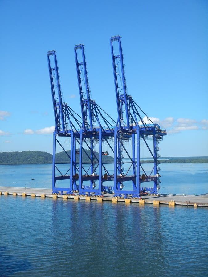 Waiting Cranes stock photo. Image of arctic, weeds, alaska - 23436472 Waiting Cranes stock photo. Image of arctic, weeds, alaska - 23436472
