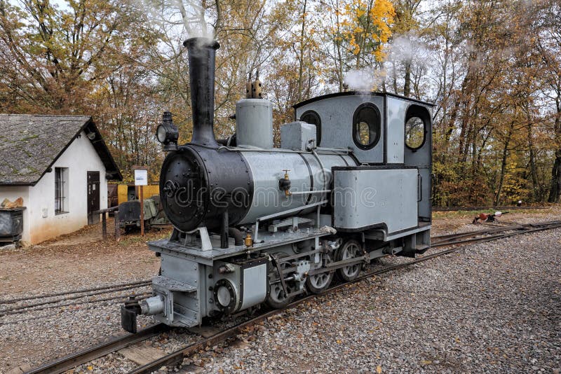 Narrow Railway Gray Steam Engine Stock Photo - Image of disconnected ...