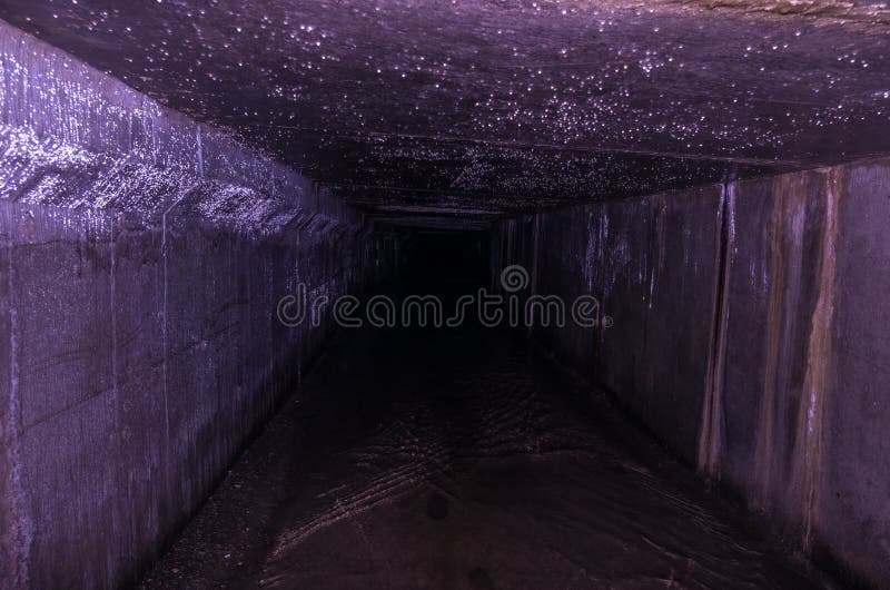 Narrow Rectangular Tunnel. Great Dampness and Moisture Under the Ground ...