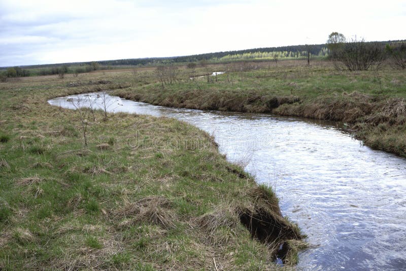 The Narrow River on a Beautiful Nature Stock Image - Image of scenery ...