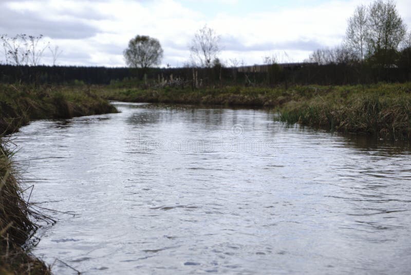 The Narrow River on a Beautiful Nature Stock Image - Image of field ...
