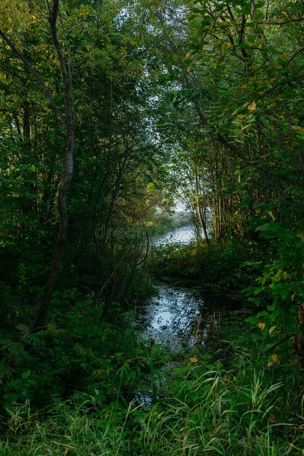 A narrow river channel stock image. Image of landscape - 334066897
