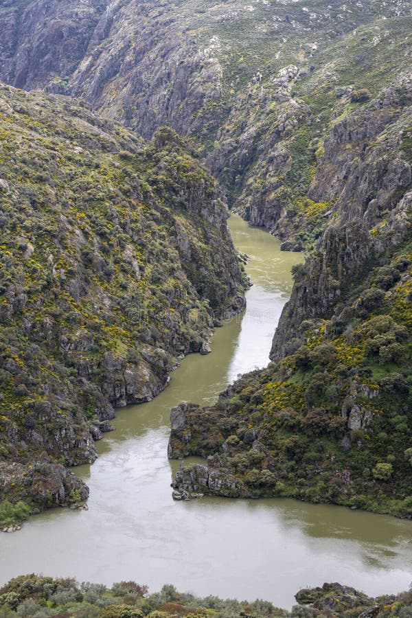Narrow River Gorge with Steep Rocky Cliffs View Stock Image - Image of ...
