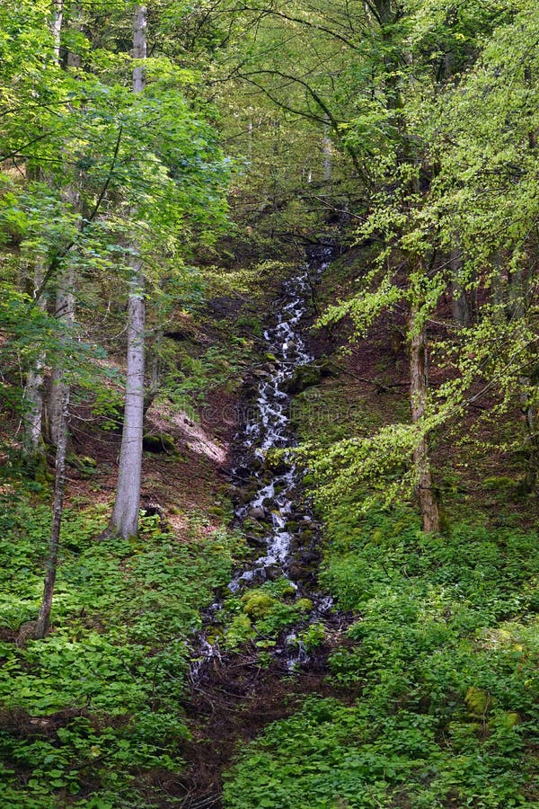 The Narrow River is Surrounded by Green Banks Stock Photo - Image of ...
