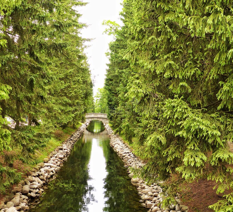 The River stock image. Image of running, river, trees - 118759829