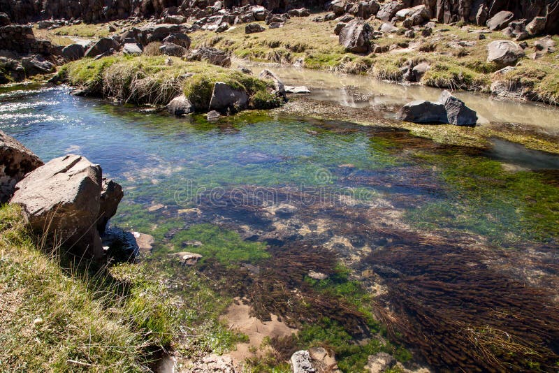 The Narrow River is Surrounded by Green Banks Stock Photo - Image of ...