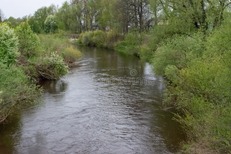 The Narrow River is Surrounded by Green Banks Stock Photo - Image of ...