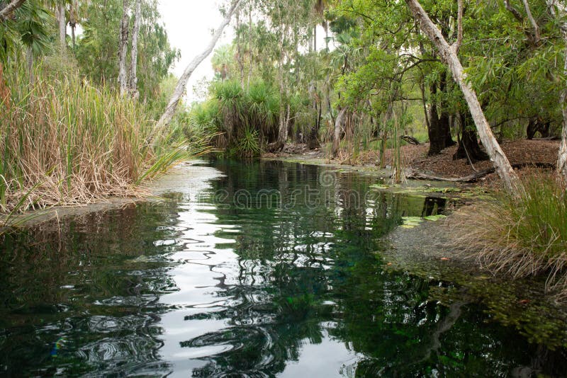 The Narrow River is Surrounded by Green Banks Stock Photo - Image of ...
