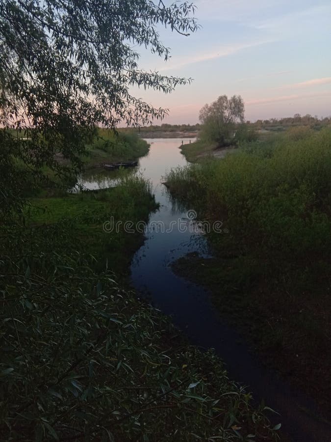 Narrow River stock image. Image of tree, reservoir, flows - 252904231