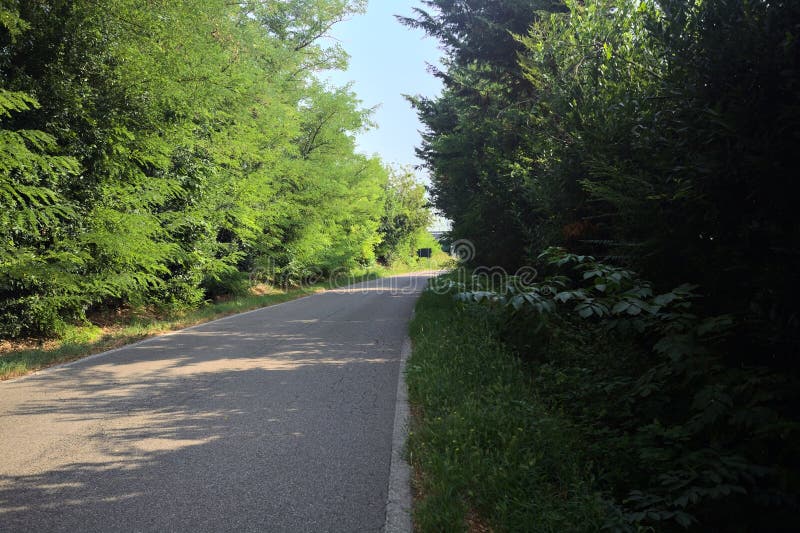 Narrow Road in the Italian Countryside Stock Image - Image of highway ...