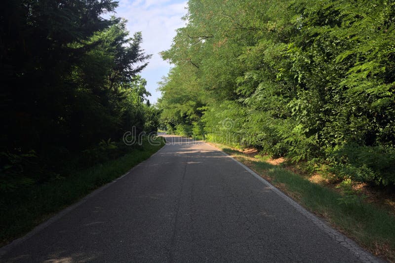 Narrow Road in the Italian Countryside Stock Image - Image of asphalt ...
