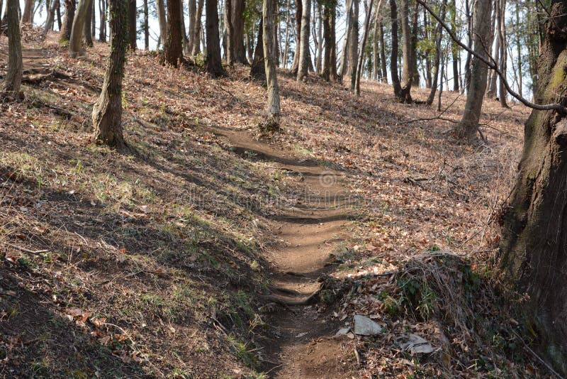 Mountain pathways stock image. Image of forest, hill - 142109273